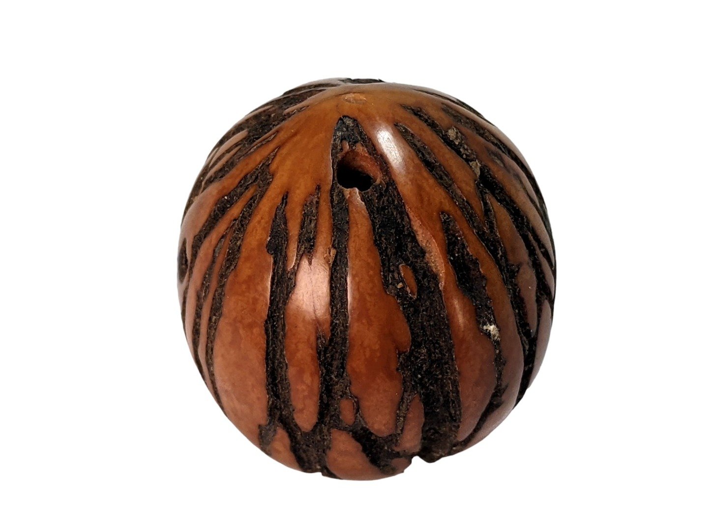 Tagua Nut | 2 x Fair Trade Ecuador Tocte Nut
