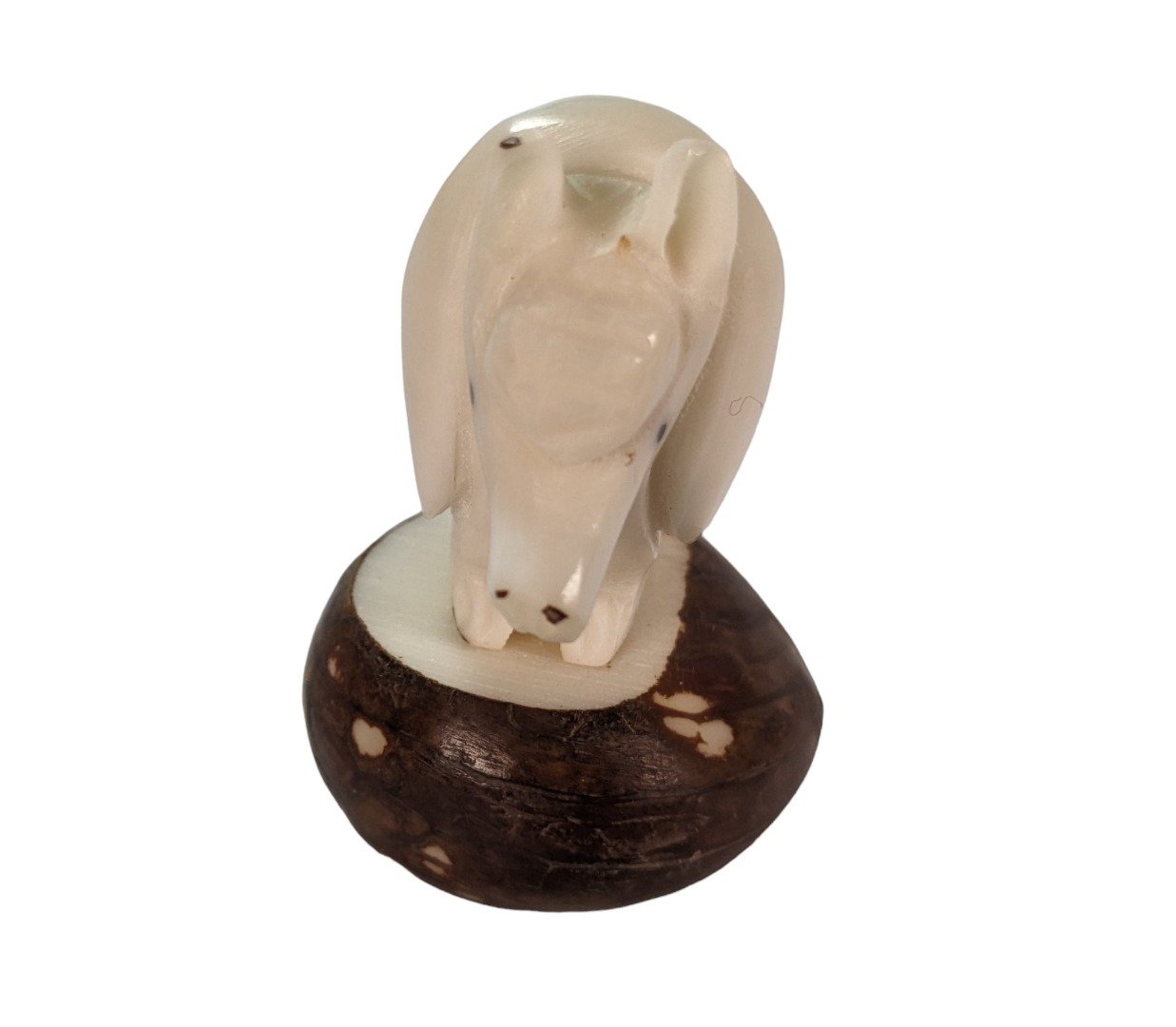 Tagua Carving Armadillo x 1 | Terrapin Trading