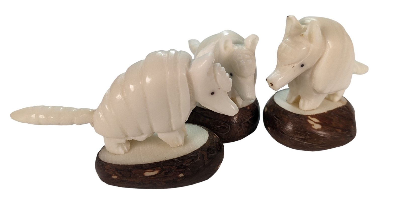 Tagua Carving Armadillo x 1 | Terrapin Trading