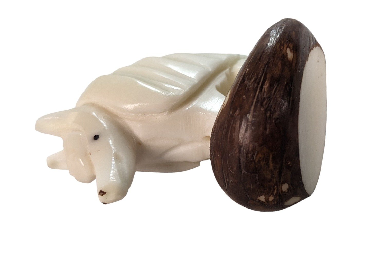 Tagua Carving Armadillo x 1 | Terrapin Trading