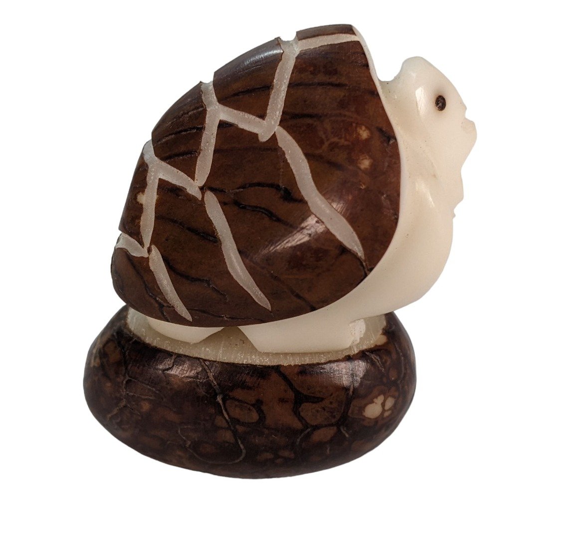 Tagua Carving Terrapin | Tagua Carving Terrapin x 1