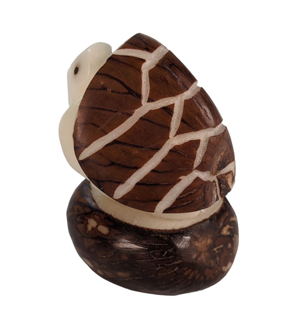 Tagua Carving Terrapin | Tagua Carving Terrapin x 1