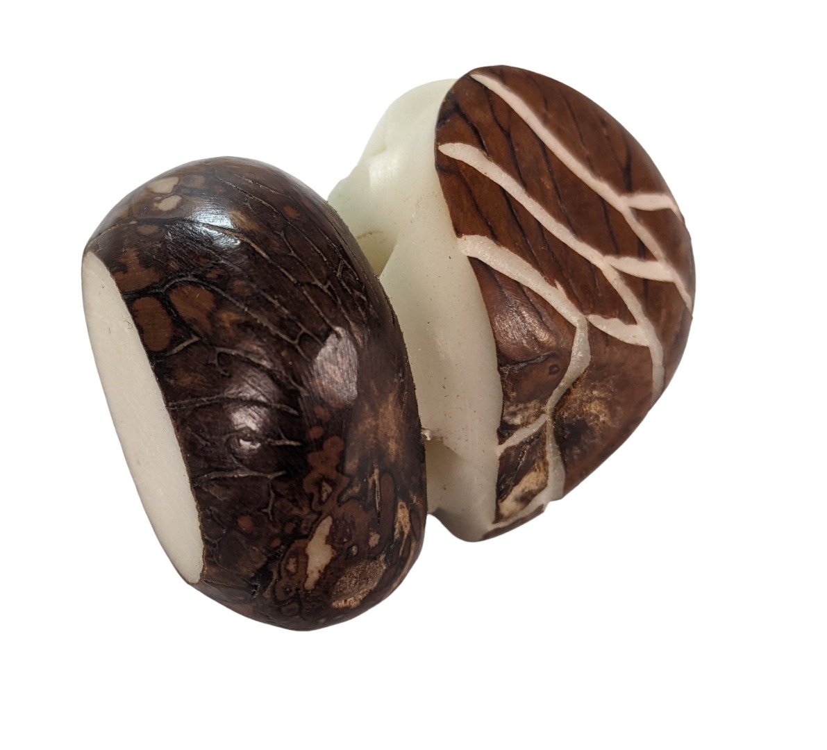 Tagua Carving Terrapin | Tagua Carving Terrapin x 1