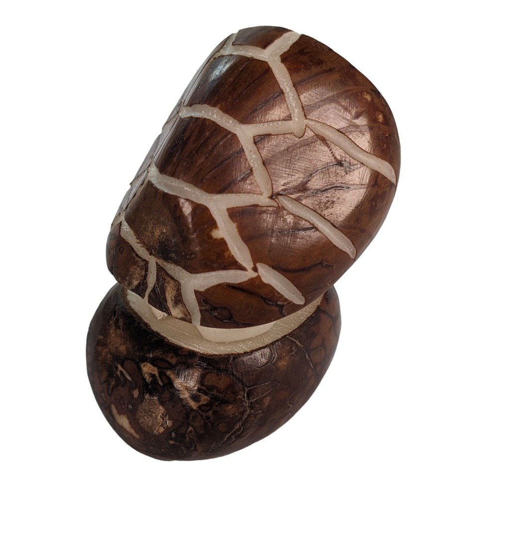 Tagua Carving Terrapin | Tagua Carving Terrapin x 1