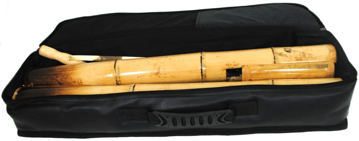 Bamboo Dan Bau Electric Vietnamese & Case | Terrapin Trading