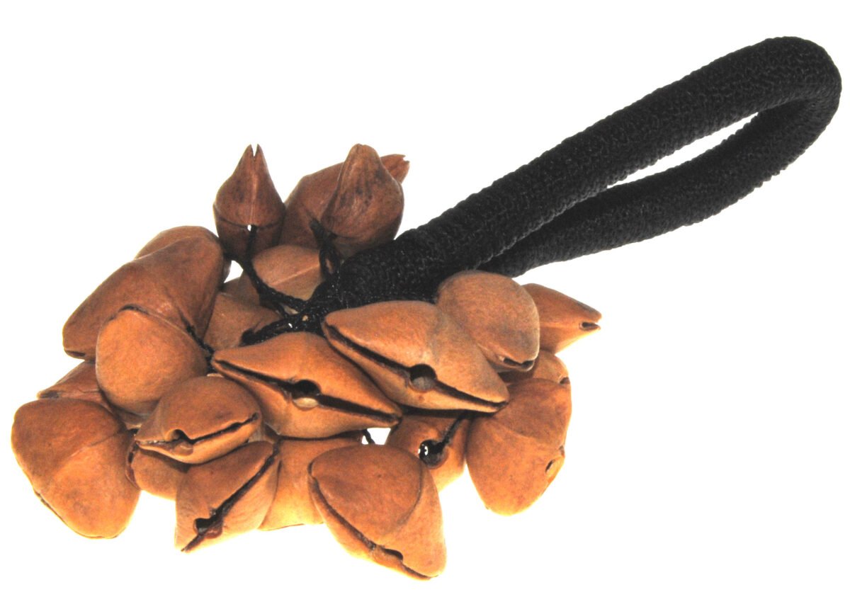 Shaker Seed | Shaker Seed Balinese Tapar Seeds