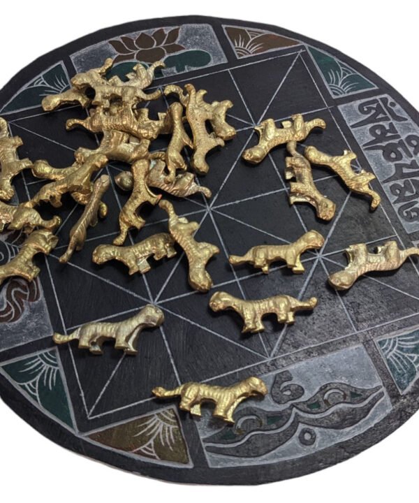 Dhun Kasa / Bagh Chal Moving Tigers Game | Terrapin Trading